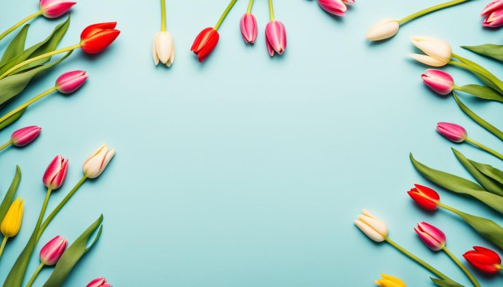 Koleksi Gambar Bunga Tulip Aesthetic: Keindahan yang Mempesona dan ...