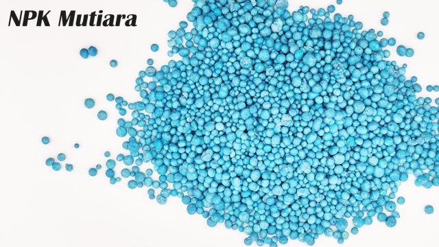 Apa Itu Pupuk Mutiara? Manfaat, Kandungan, dan Cara